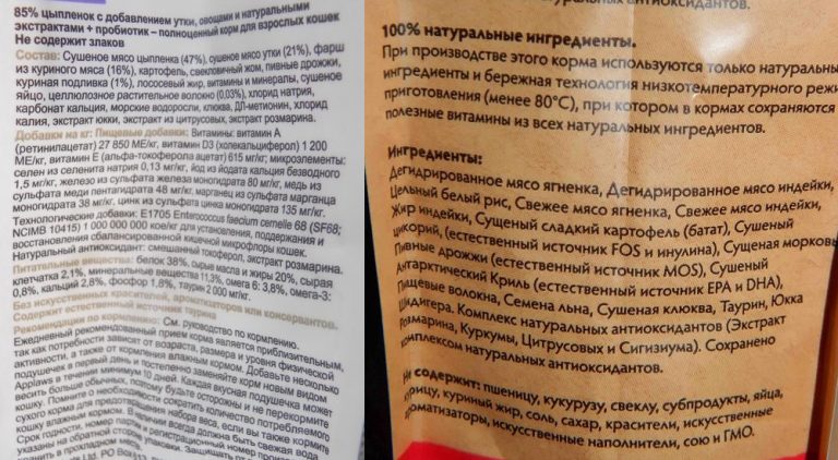 Корма холистики для кошек: список, рейтинг, отзывы - ПетОбзор