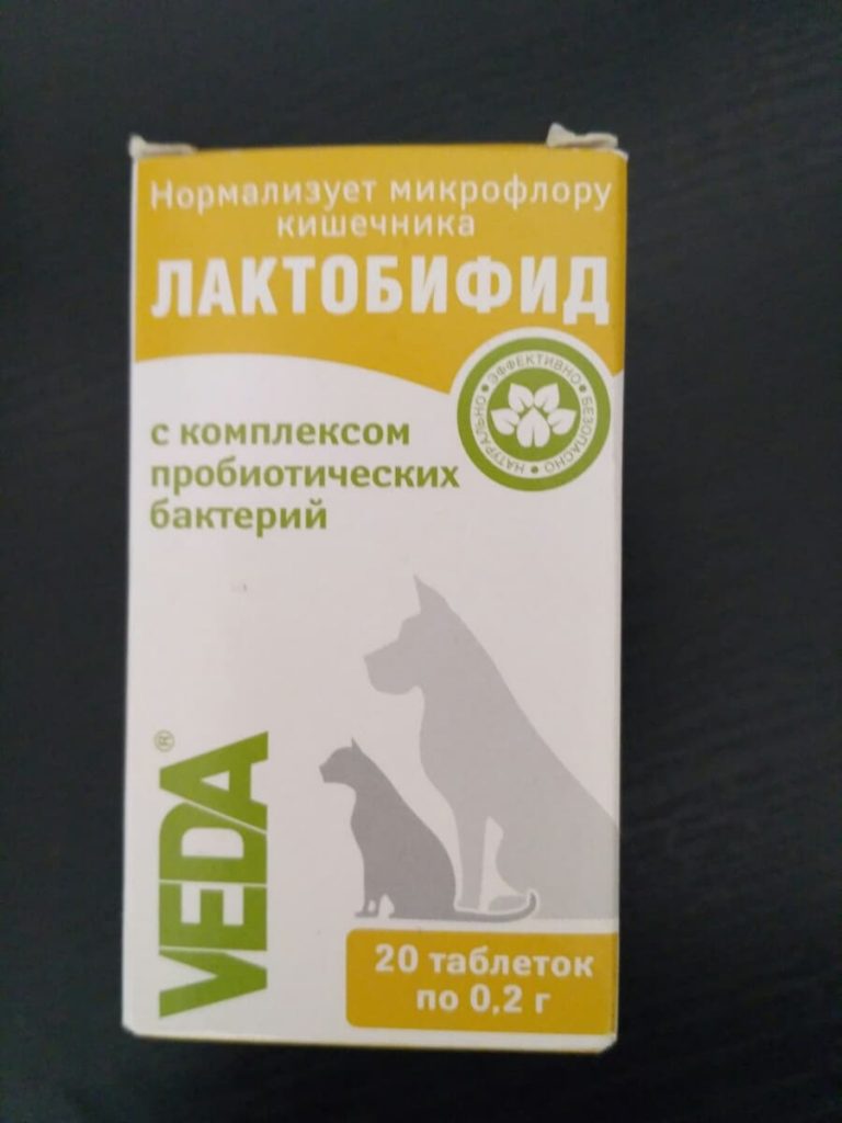 Лактобифид для кошек и собак: инструкция по применению, отзывы, цена ...