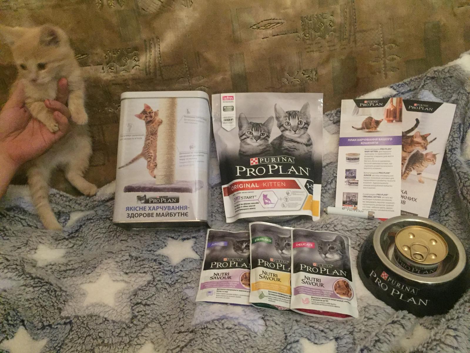 Purina Pro Plan для котят - ПетОбзор